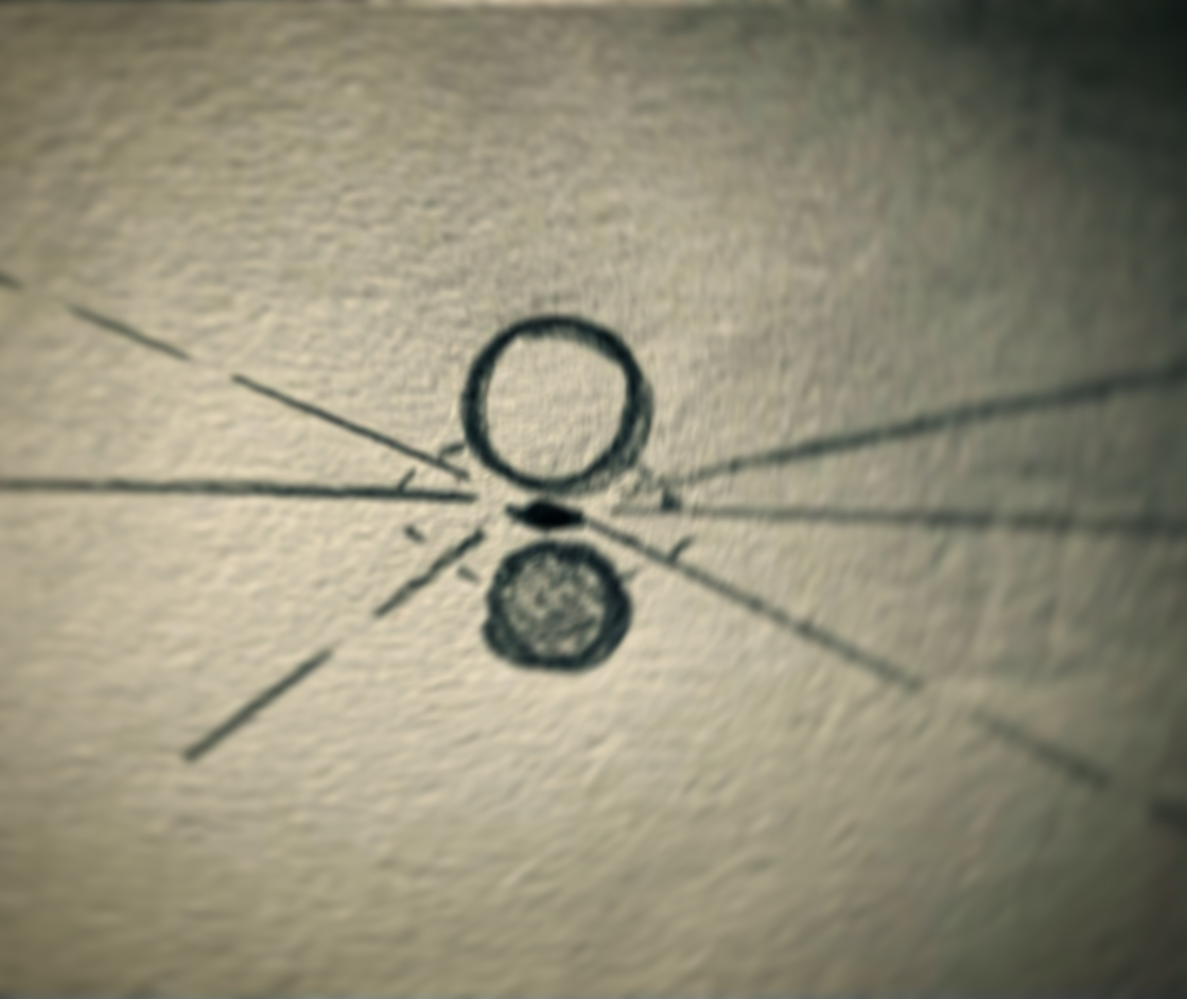 The dra'an chronicles – Part 1 coming 2025